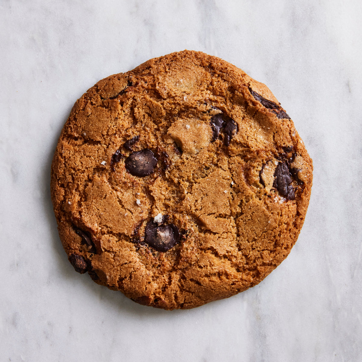 Chocolate Chip Cookie – Docker Bakery